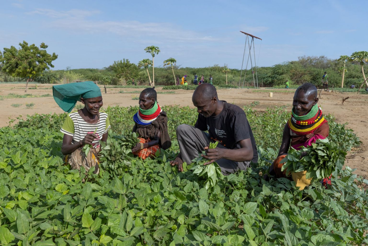 A Sign of Love | ADRA Canada