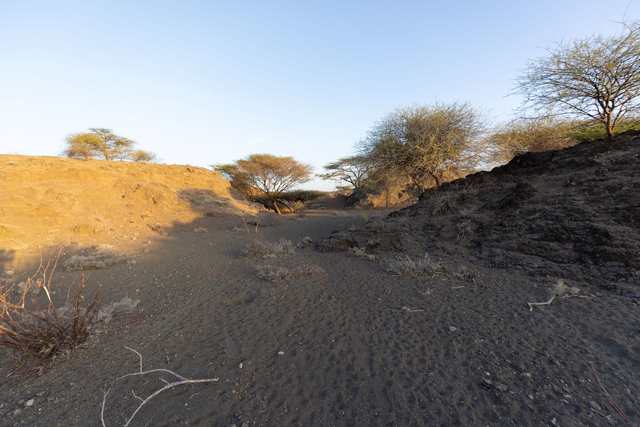 A Sign of Love | ADRA Canada